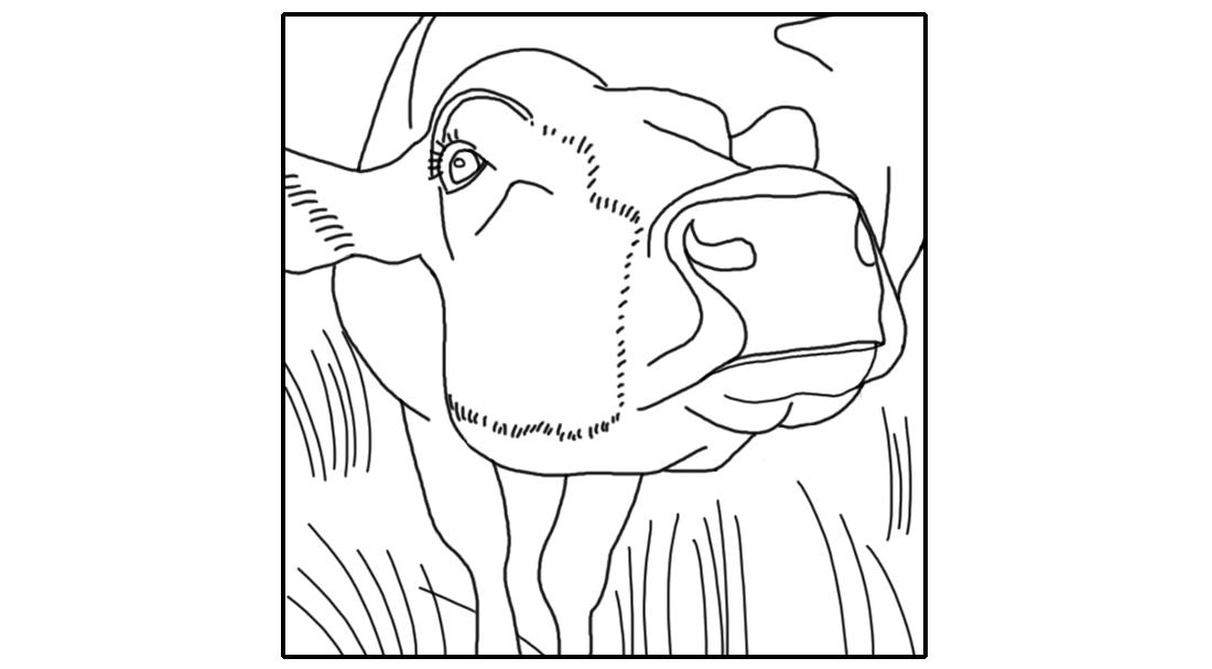 Tales - Allergies: When the Immune System Backfires